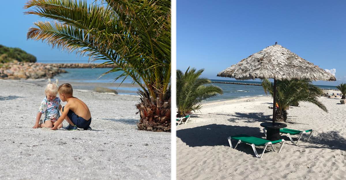 Frederikshavn: Her er den skønneste strand med lavt vand og palmer